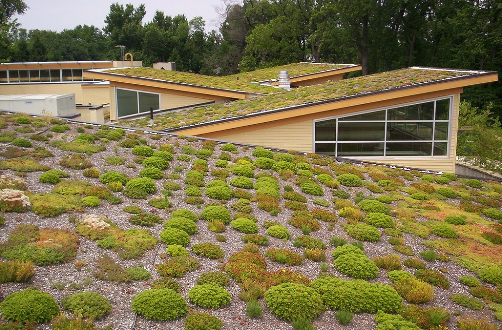Sustainable Living at Home with Green Roofs - Boots On the Roof